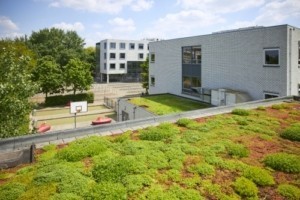 Home - ds. Pierson College